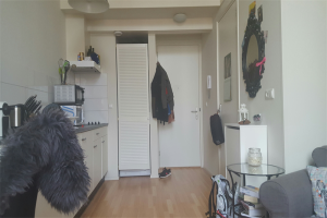 Studio huren Groningen | Huis huren in Groningen | Direct Wonen